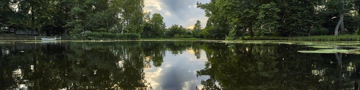 Vigtig Information for Den Romantiske Have